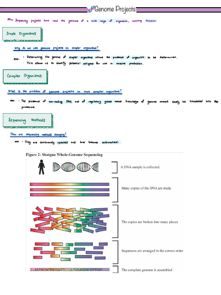 Genome Projects - FactRecall | PDF | Genome | Sequencing