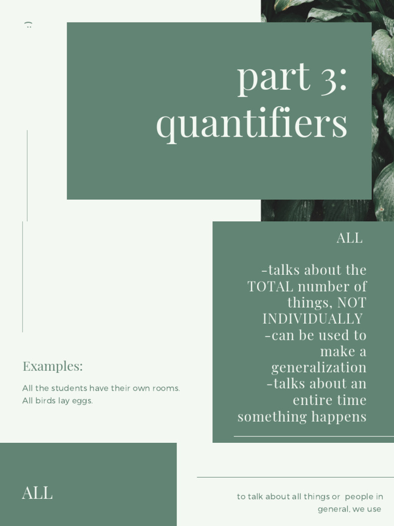 Part 3 Quantifiers | PDF | Grammatical Number | Plural