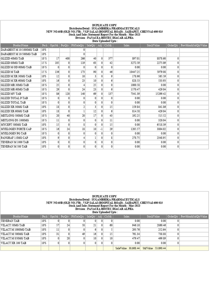 Statement Report Pdf