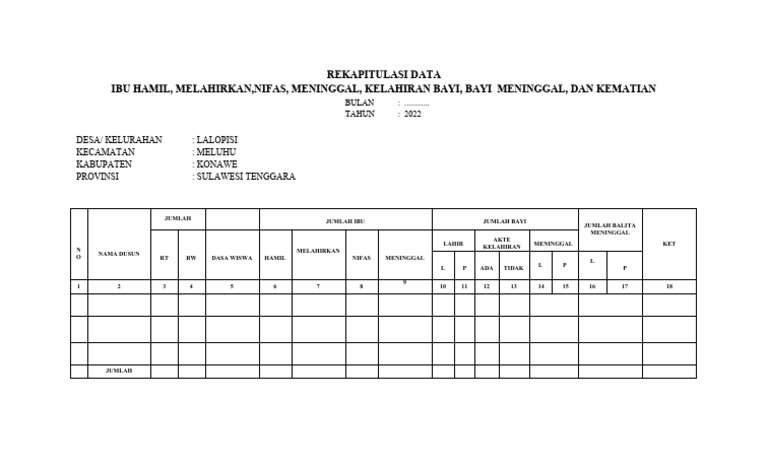 Rekapitulasi Data Ibu Hamil | PDF