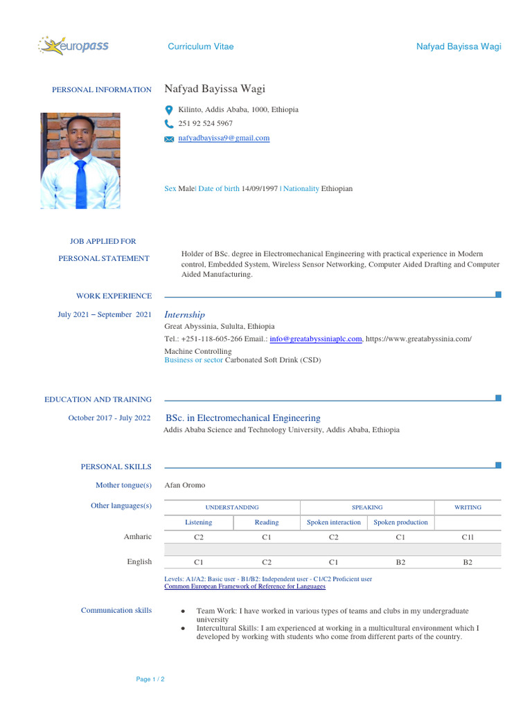 CV Nafyad | PDF | Ethiopia | Computing