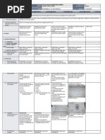 Butler Neural Mobilization | PDF | Nervous System | Nerve