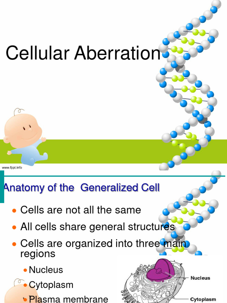 Cellular Aberration | PDF | Cell Cycle | Cancer