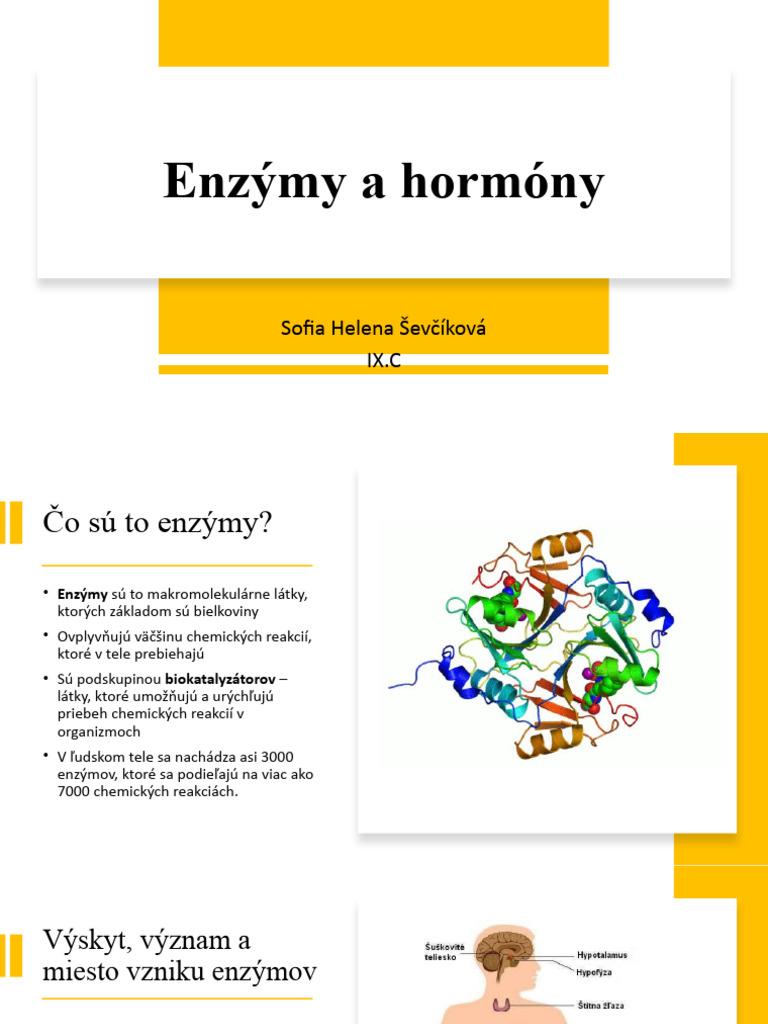 Hormóny A Enzýmy-Sofia Helena Ševčíková-1 | PDF