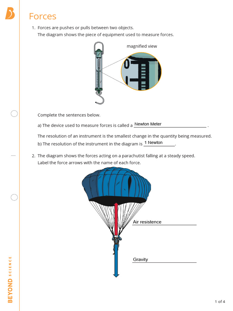 Forces L2 Measuring Forces WS | Download Free PDF | Force | Weight