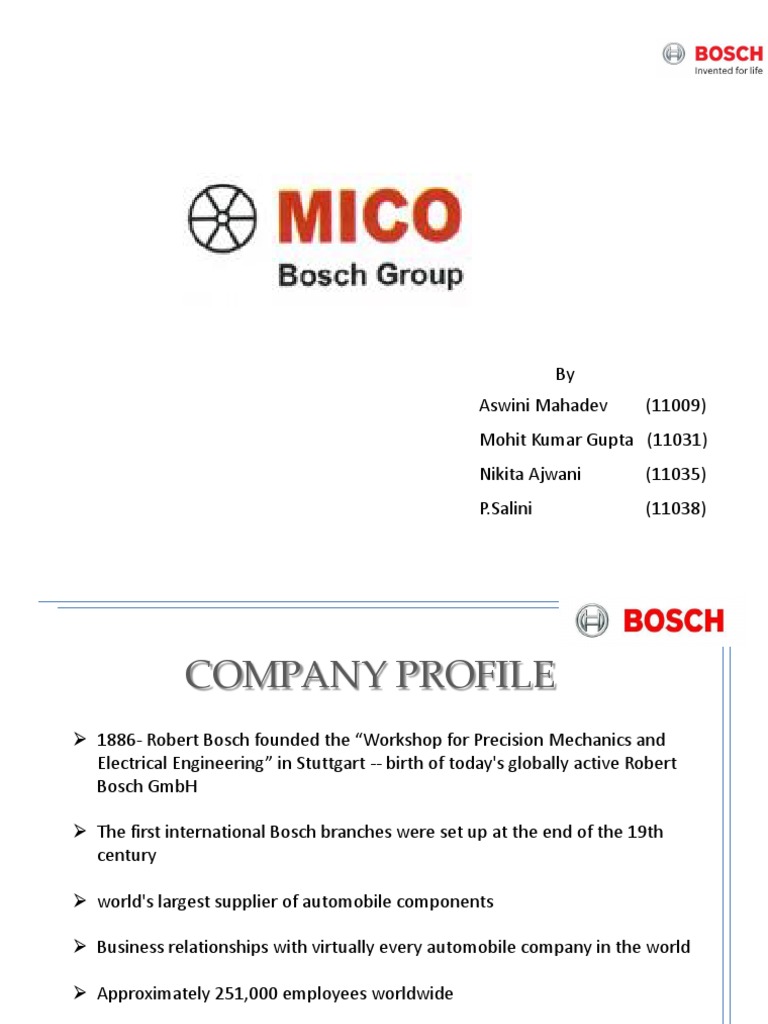 Bosch | PDF | Software Development | Databases