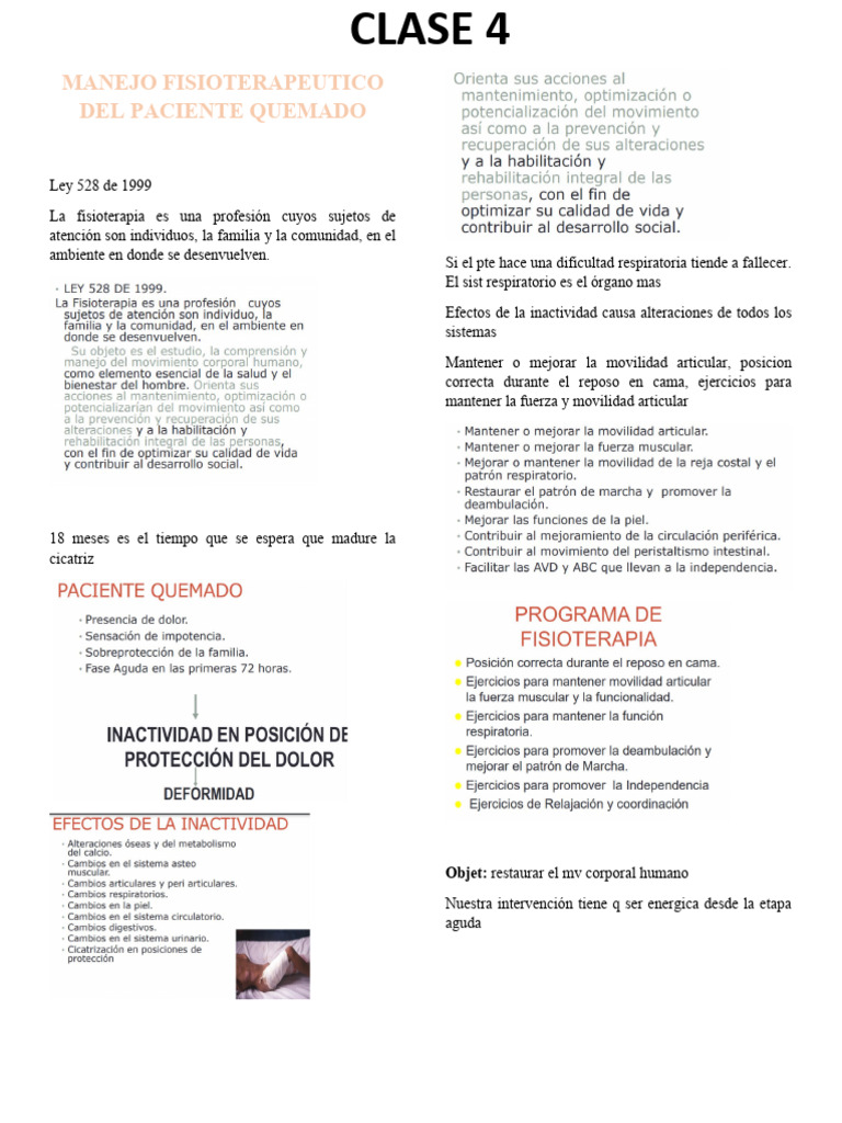 Clase 4 | PDF | Quemar | Epidemiología