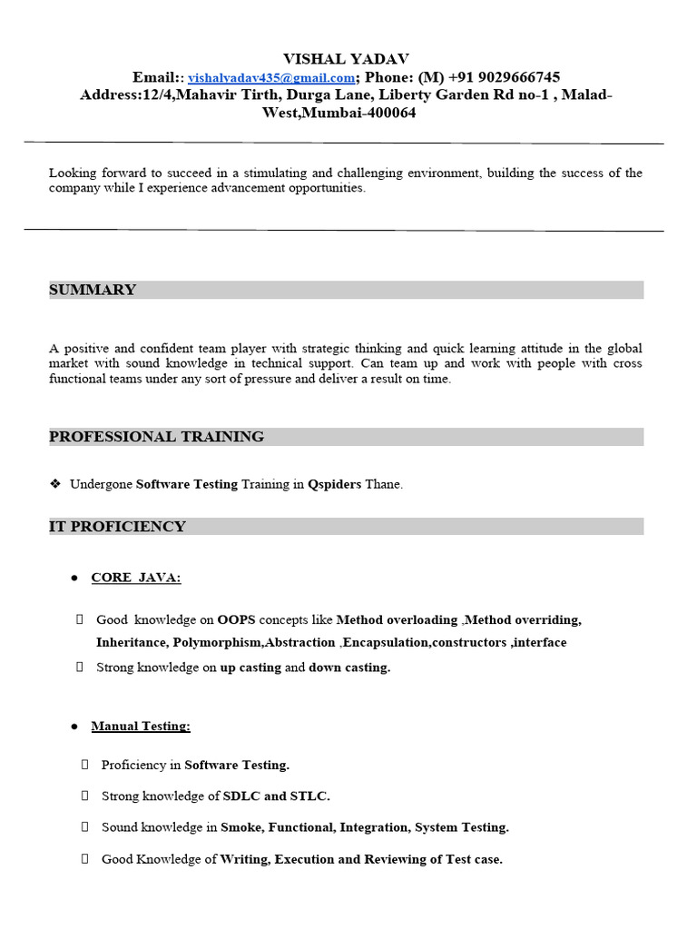 Vishal Yadav - CV | PDF | Computing | Software Engineering