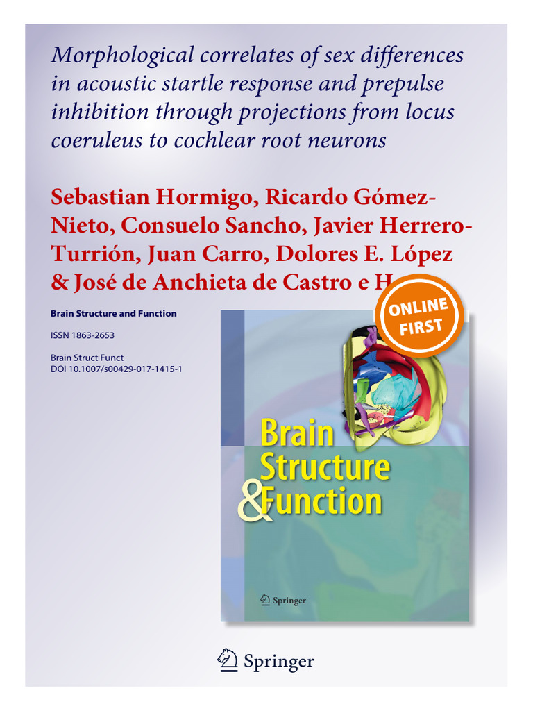 2017 Hormigo Et Al 2017 Brain Struct Function Con Caratula Pdf Complementary Dna