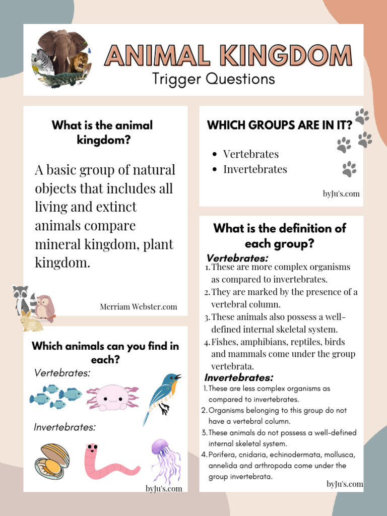 Animal Kingdom: Vertebrates vs Invertebrates | PDF | Science & Mathematics