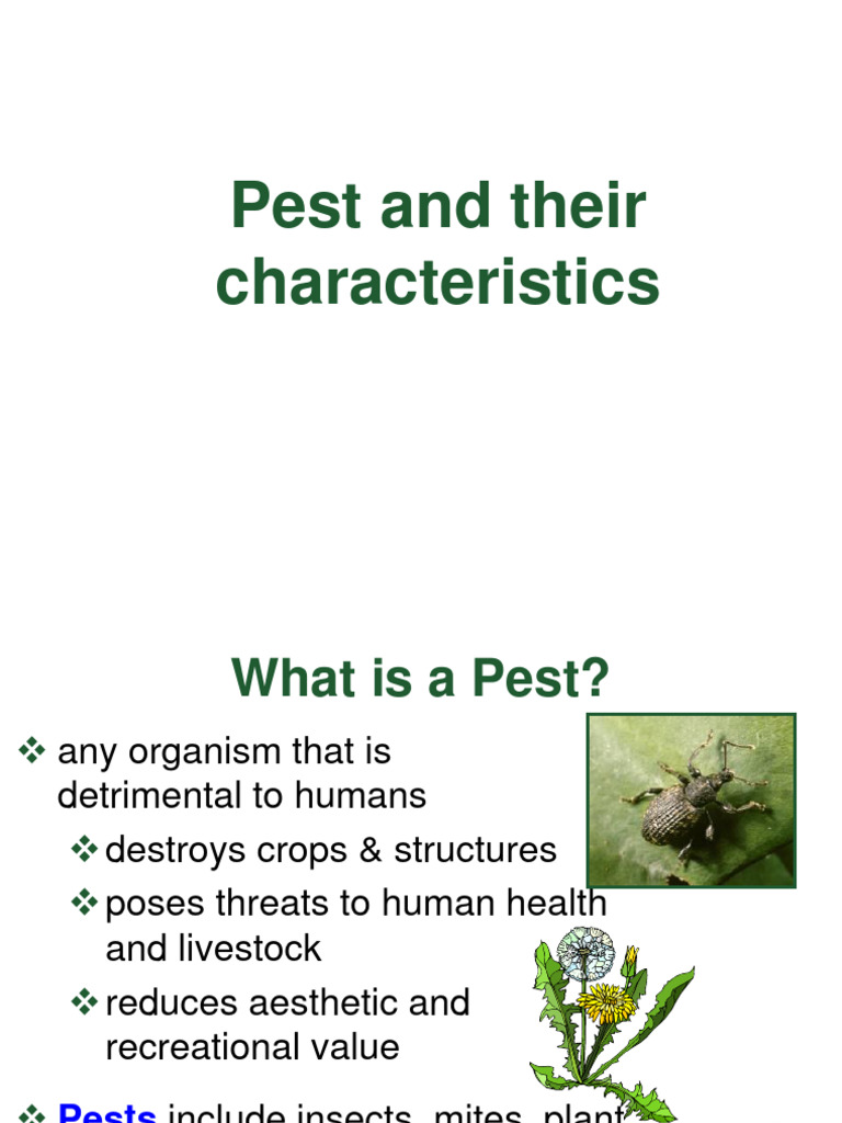 Pest and Their Characteristics | PDF