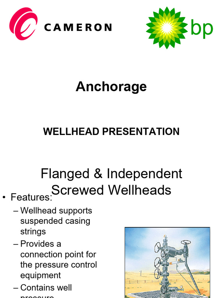 Cameron Wellhead Equipment Overview | PDF | Casing (Borehole) | Valve