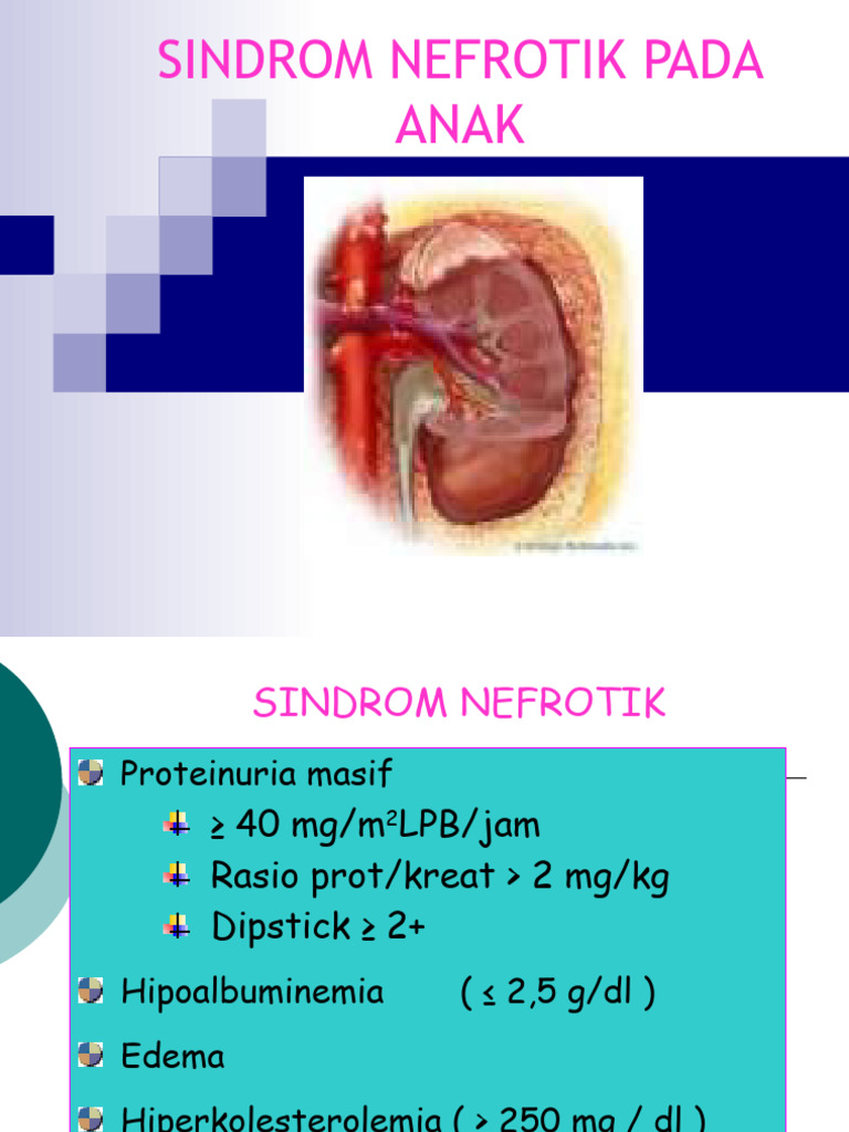 Sindrom Nefrotik Pada Anak | PDF