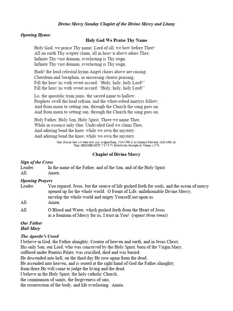 Divine Mercy Litany Chaplet Novena | PDF | Mercy | God The Father