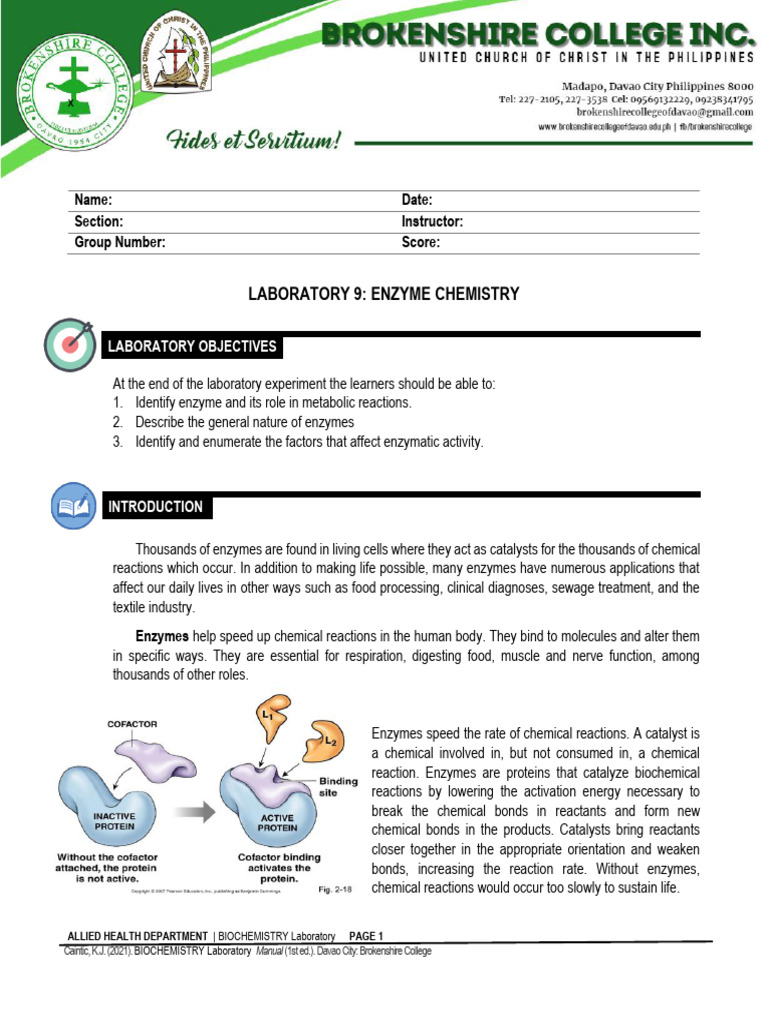 BIOCHEM - Enzyme Activity | PDF | Enzyme | Chemical Reactions