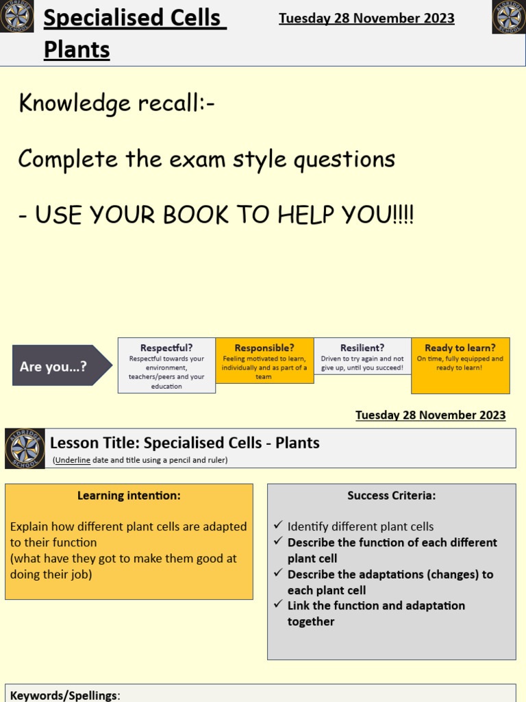 B1.3 Specialised Plant Cells | PDF | Leaf | Plant Stem