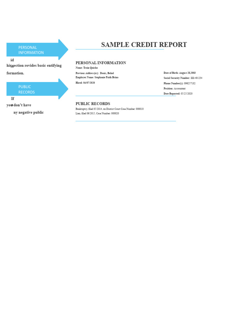 Sample Credit Report Overview | PDF | Credit | Finance & Money Management