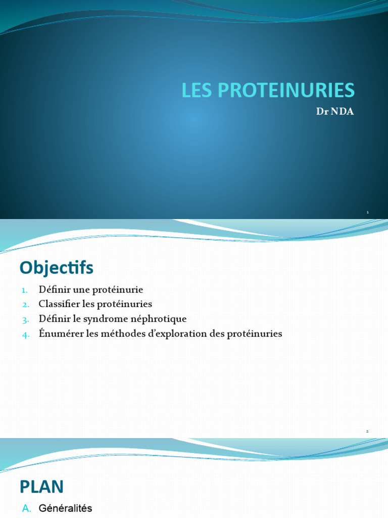Comprendre les Protéinuries | PDF | Excrétion | Rein