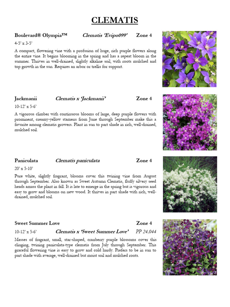 Vines 2019 | Download Free PDF | Garden Plants | Botany