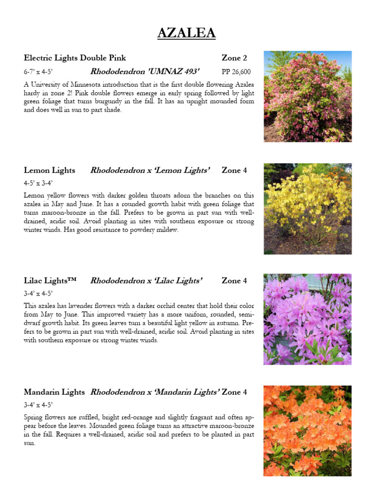 Shrubs 2019 | PDF | Plants | Botany