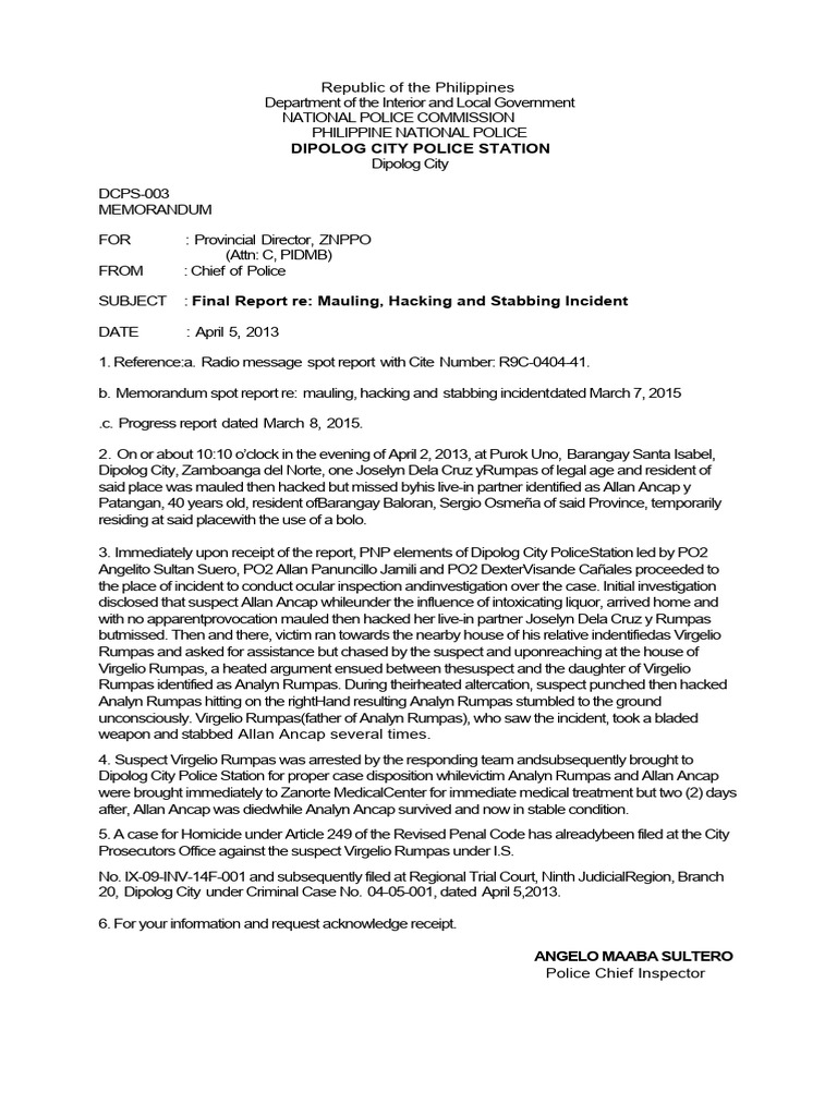 Final Report 2 | PDF | Violence | Government