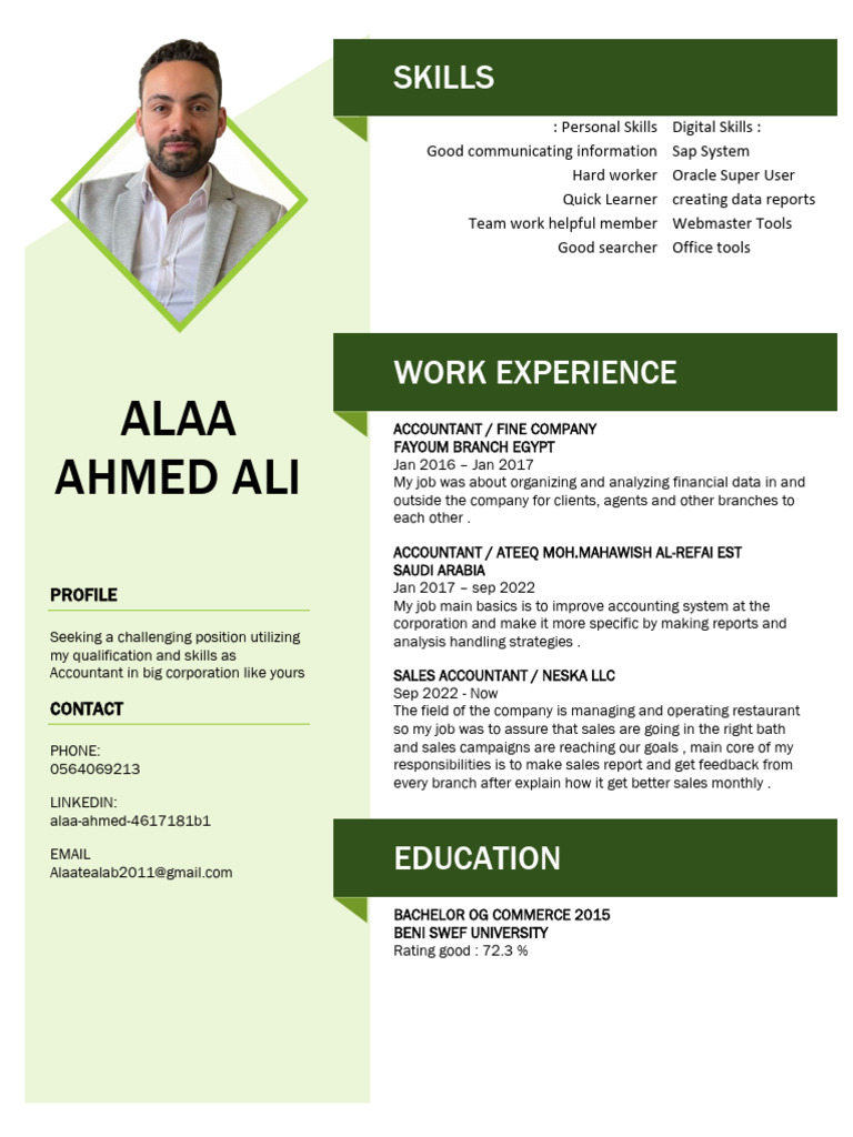 Alaa Ahmed CV | PDF | Cyberspace | Information Science