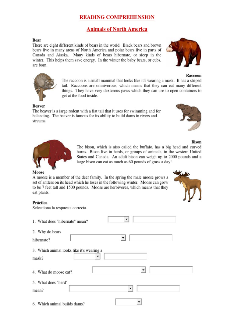 Reading Comprehension | PDF | Bears | Moose