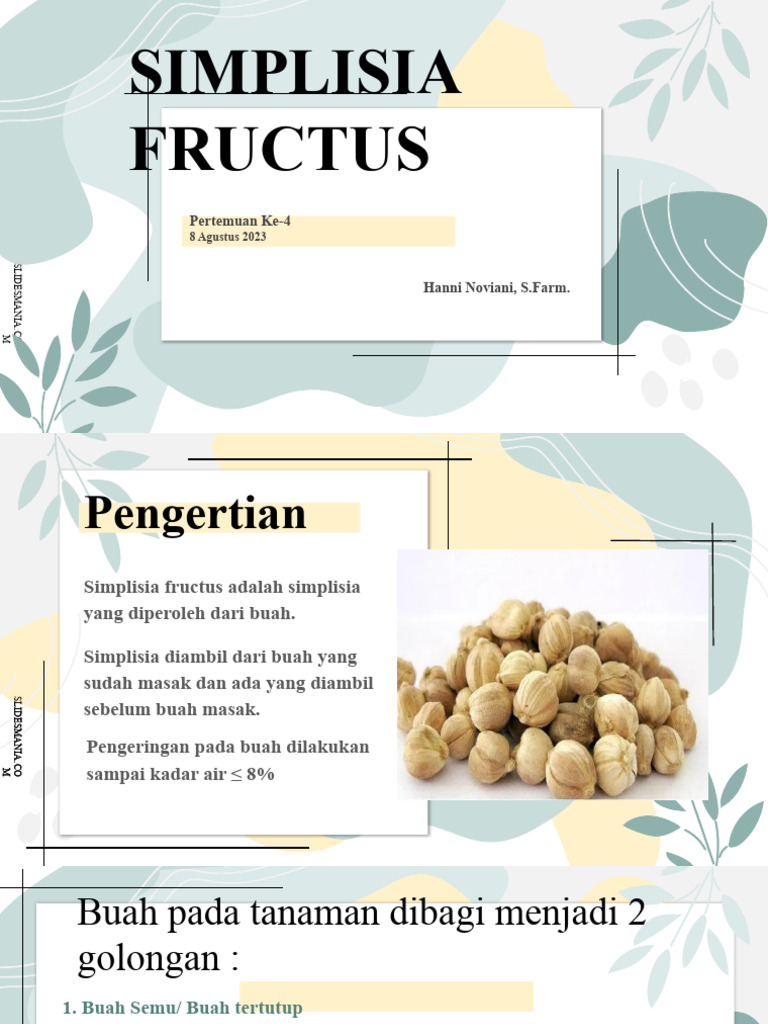 Pengertian dan Contoh Simplisia Fructus | PDF