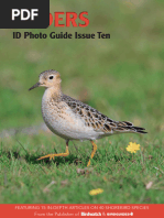 Bto Bird Species Codes | PDF