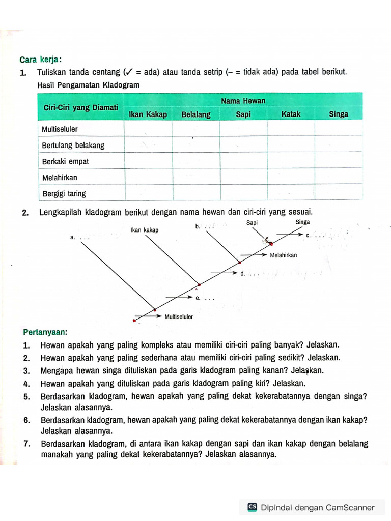 Kladogram. 1 | PDF