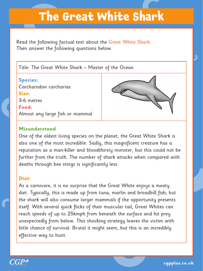 Reading Comprehension The Great White Shark (Year 4) Full Colour ...