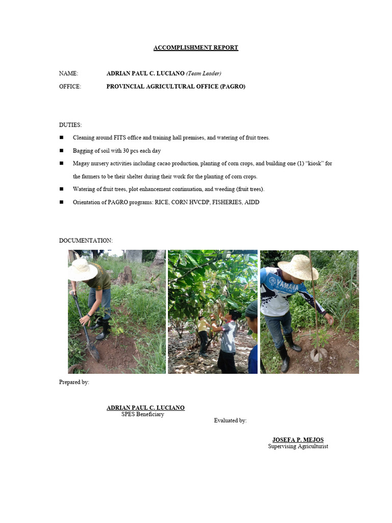 Accomplishment Report FINAL PAGRO | PDF | Agriculture | Botany