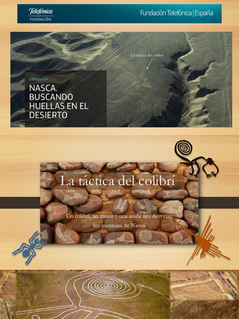 Colibrí | PDF | Aves