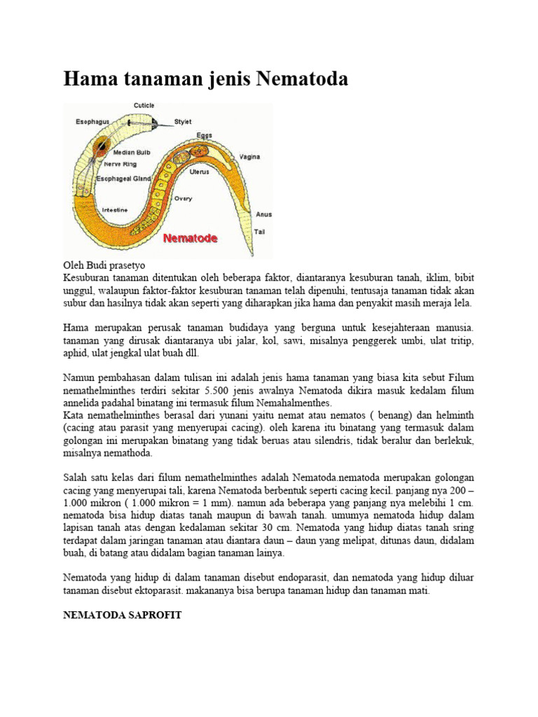 Hama Nematoda: Jenis dan Gejala Serangan | PDF | Griya & Taman | Sains ...