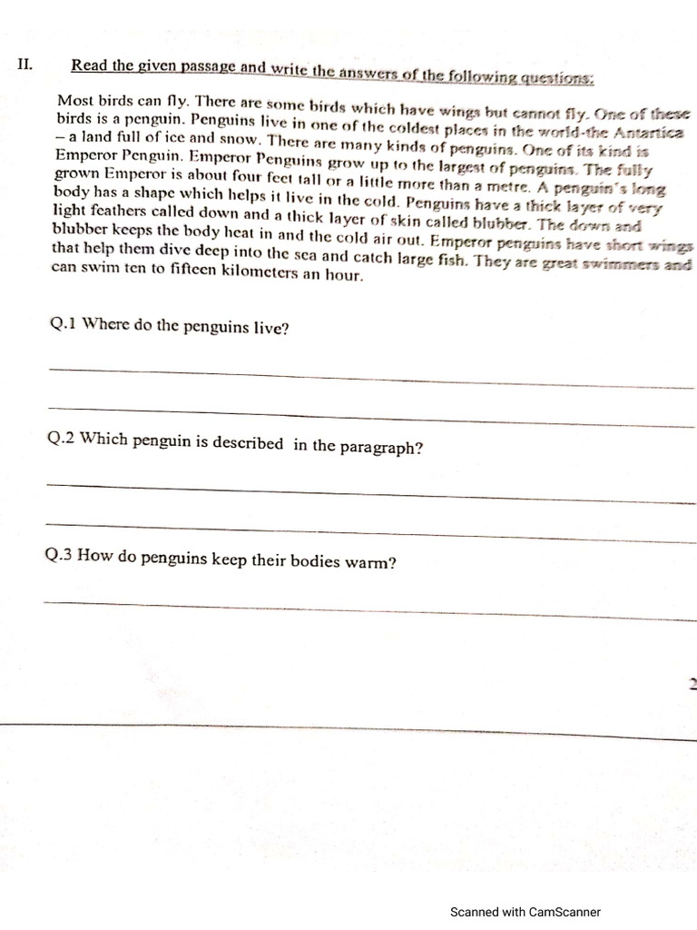Class 4 Unseen Passage | PDF