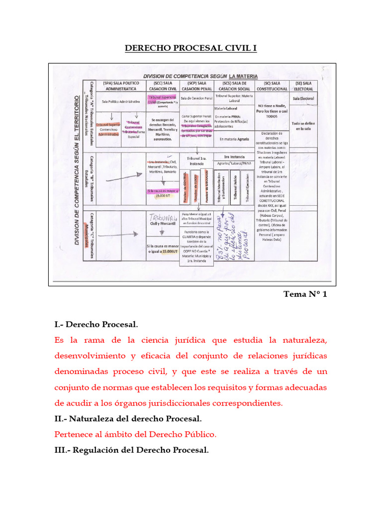 DERECHO PROCESAL CIVIL I Guia General | Descargar gratis PDF | Ley procesal | Jurisdicción