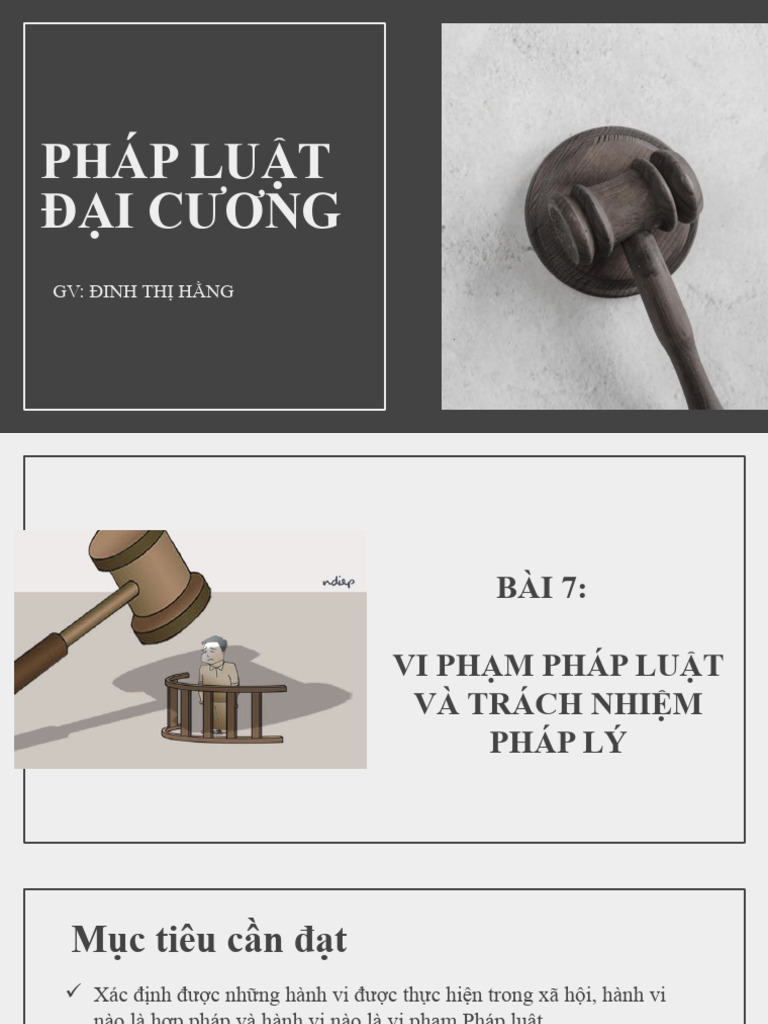 Bài 7. Vi Phạm Pháp Luật Và Trách Nhiệm Pháp Lý | PDF