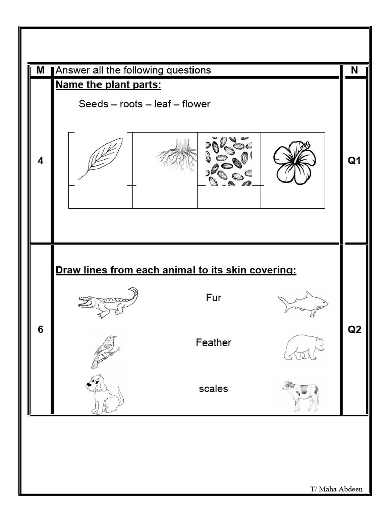 Science | PDF | Plants | Botany