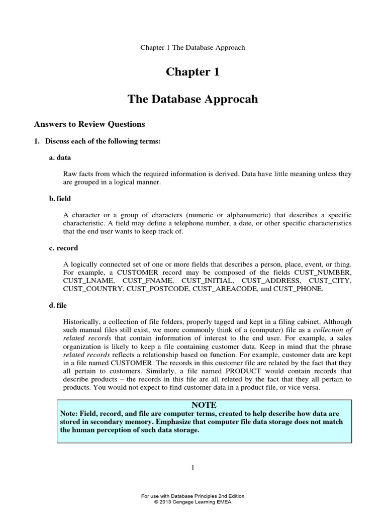 IM Ch01 Database Approach IntEdition Solutions | PDF | Databases | Computer File