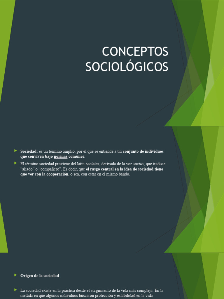 Conceptos Sociológicos | PDF | Sociedad | Estructura social