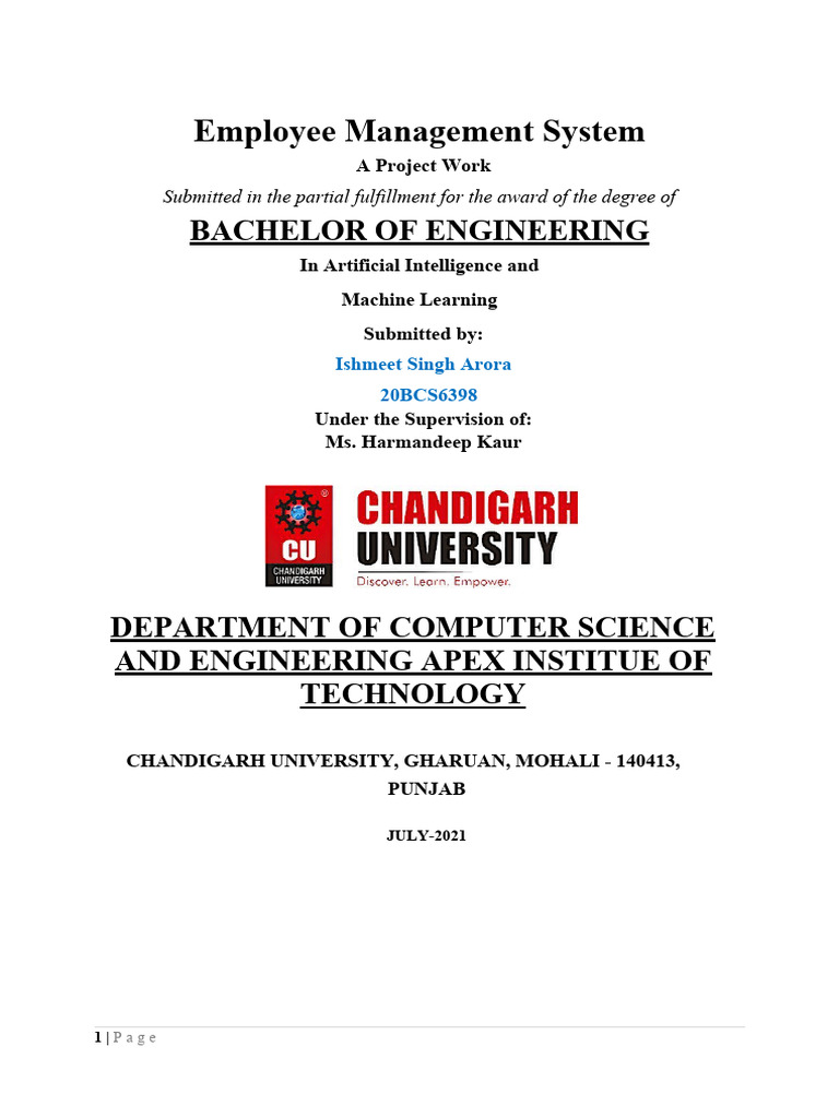 Project Report | PDF | Databases | Programming