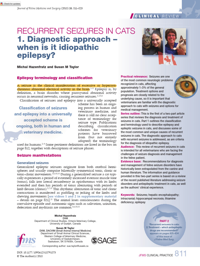Recurrent Seizures in Cats: 1. Diagnostic Approach - When Is It ...