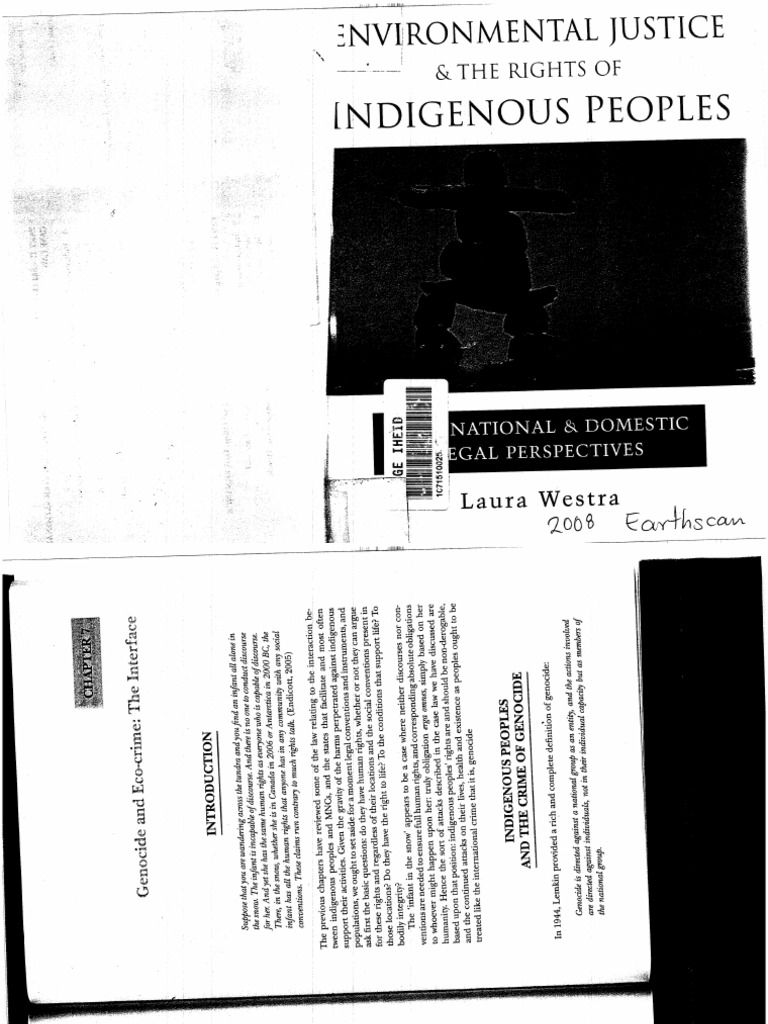 Environmental Justice | PDF