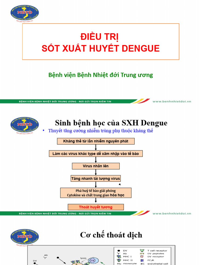 BS. Dieu Tri SXH Dengue | PDF