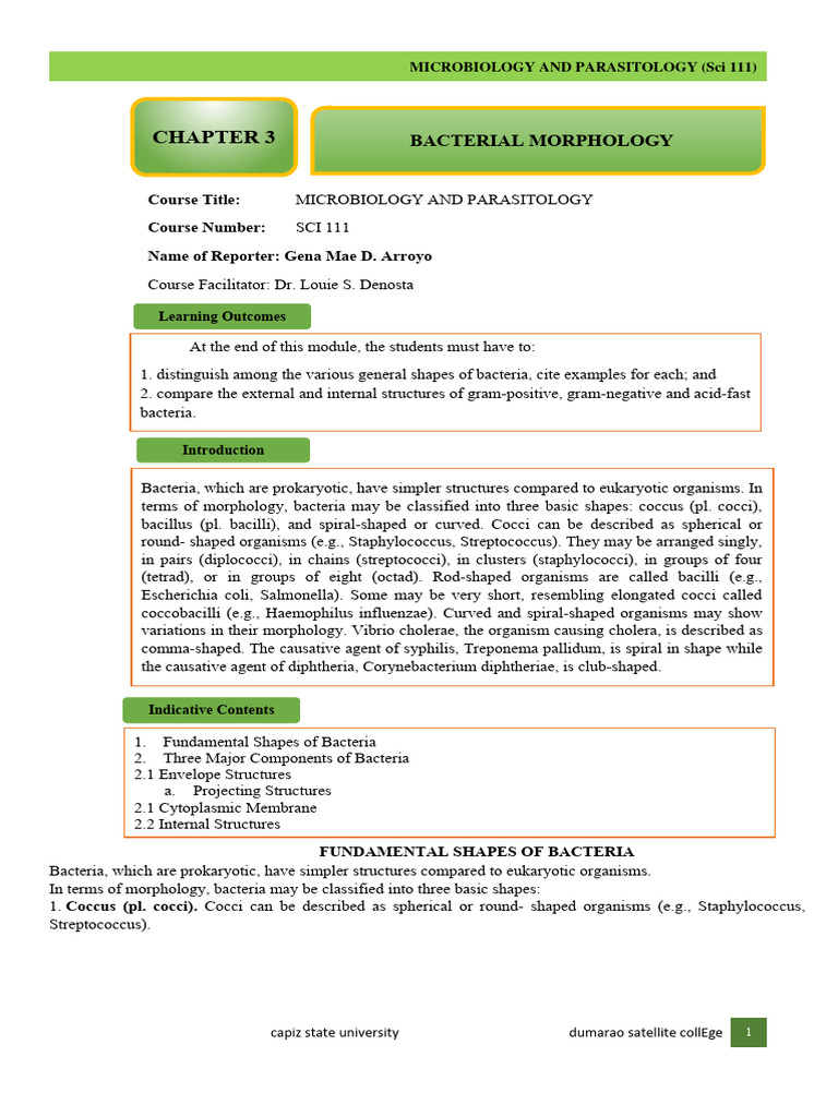 Bacterial Morphology Sci 111 | PDF | Bacteria | Cell (Biology)