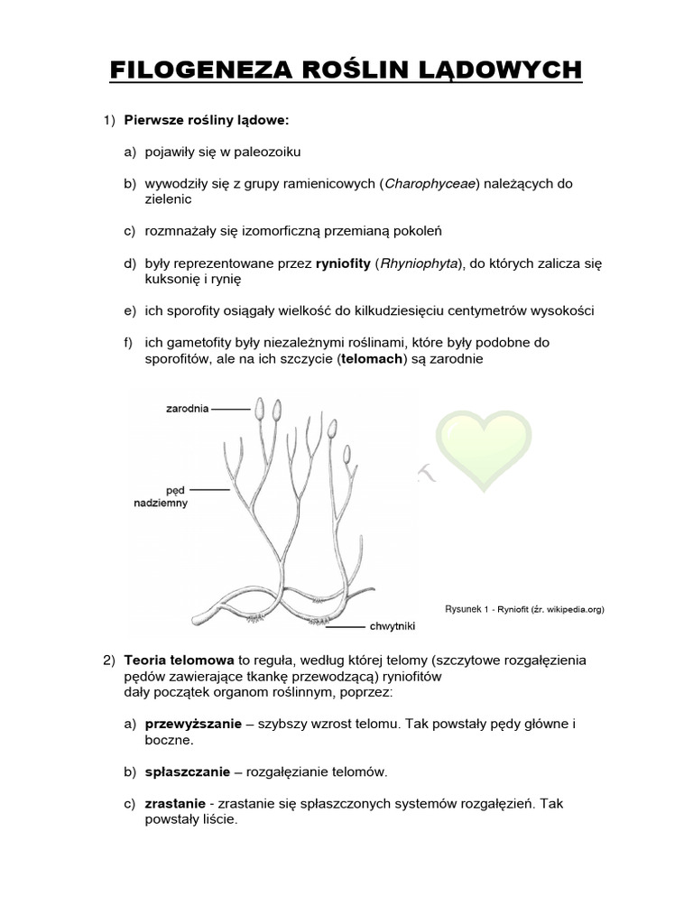 2) Filogeneza Roślin Lądowych | PDF