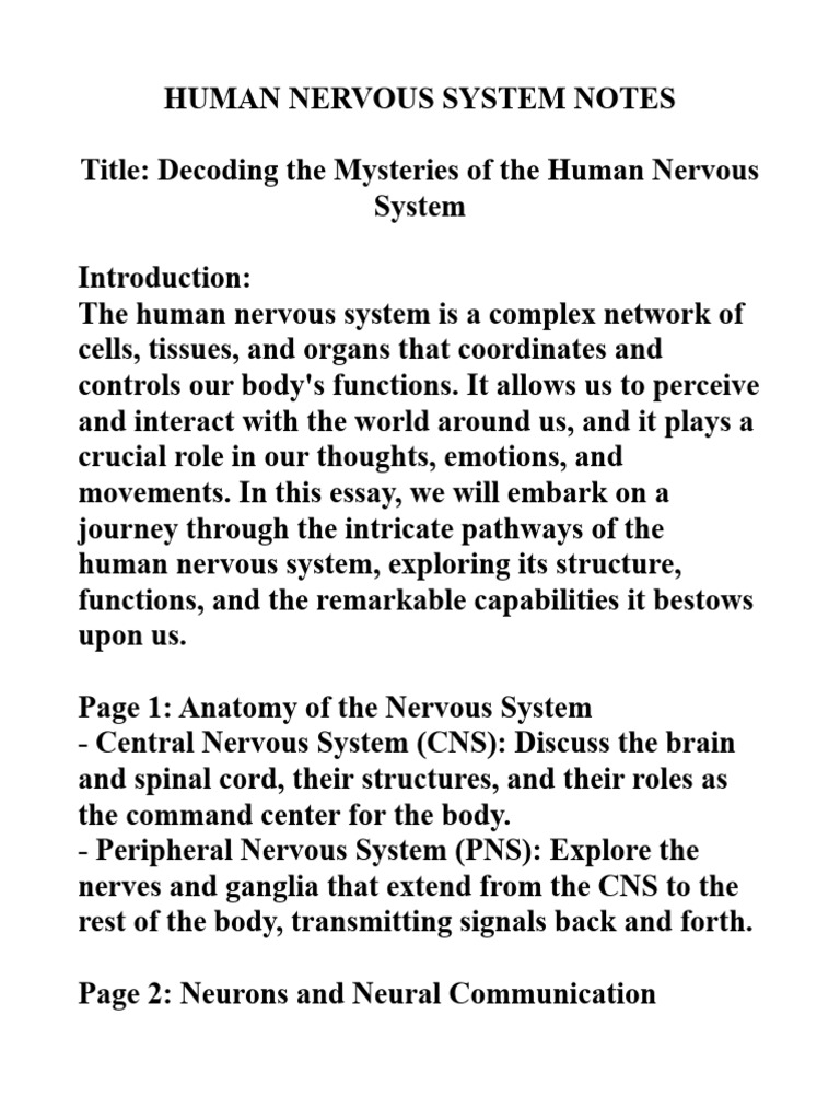 Human Nervous System Notes | PDF | Nervous System | Central Nervous System