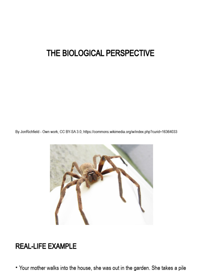 Chapter 2. The Biological Perspective | Download Free PDF | Neurotransmitter | Chemical Synapse