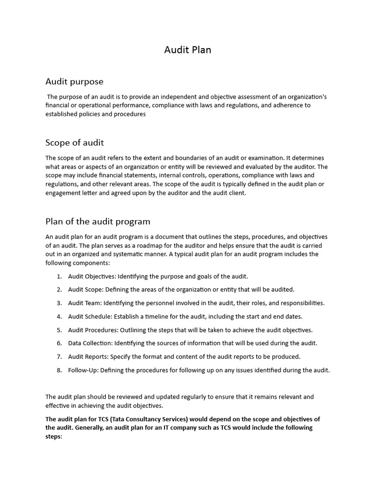Audit Plan | PDF | Audit | Business