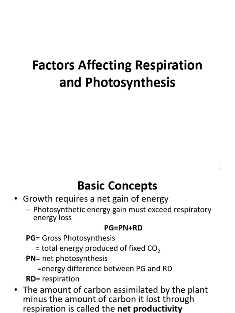 Factors Influencing Plant Respiration & Photosynthesis | PDF ...